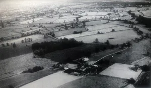 A University is Born