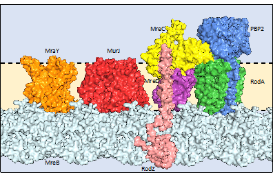 Professor Phill Stansfeld