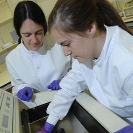 Warwick Engineering in Biomedicine