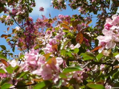 Warwick-Edinburgh Mental Wellbeing Scale (WEMWBS)