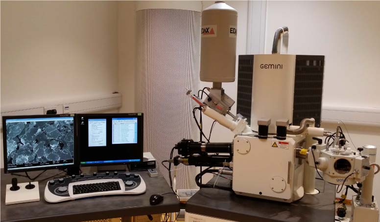 Zeiss SUPRA 55-VP FEGSEM