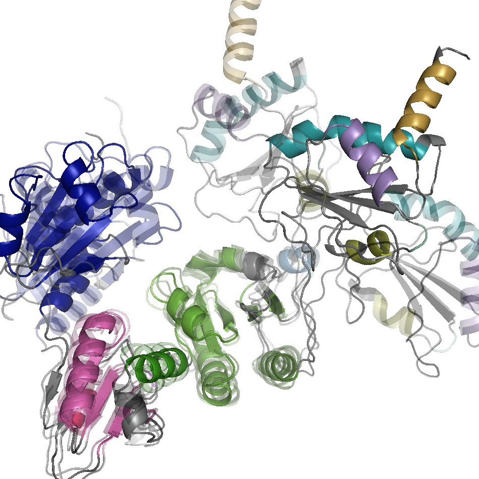 Department of Physics Research